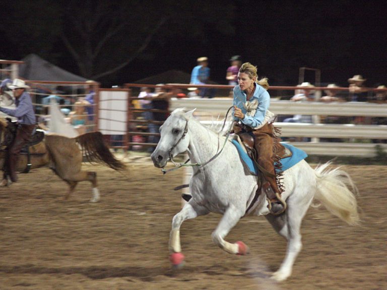 Our Horses, Our Stars | Hill Country Equestrian Lodge