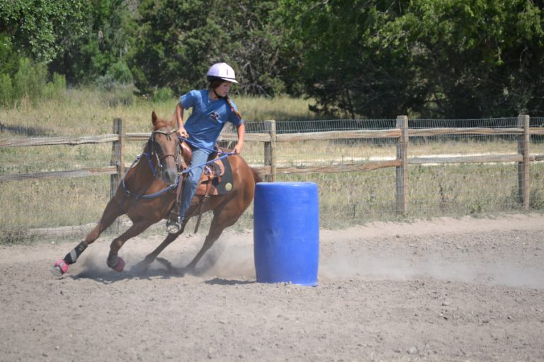 Summer Riding Camps | Hill Country Equestrian Lodge